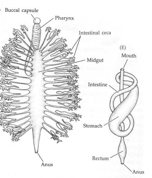 Untitled Page [bioclass.cos.ncsu.edu]